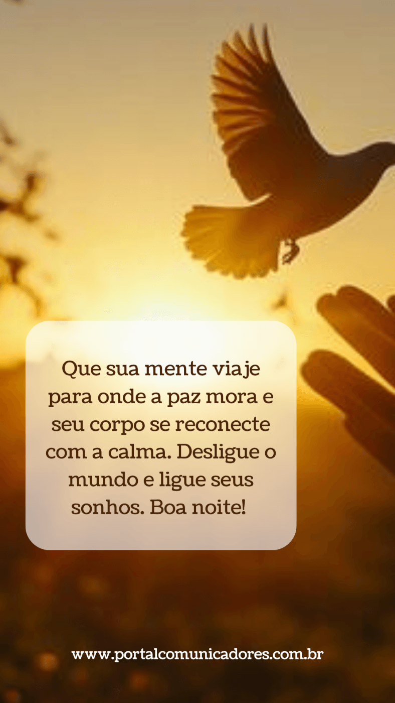78 Mensagens de boa noite: frases lindas, com carinho para Whatsapp